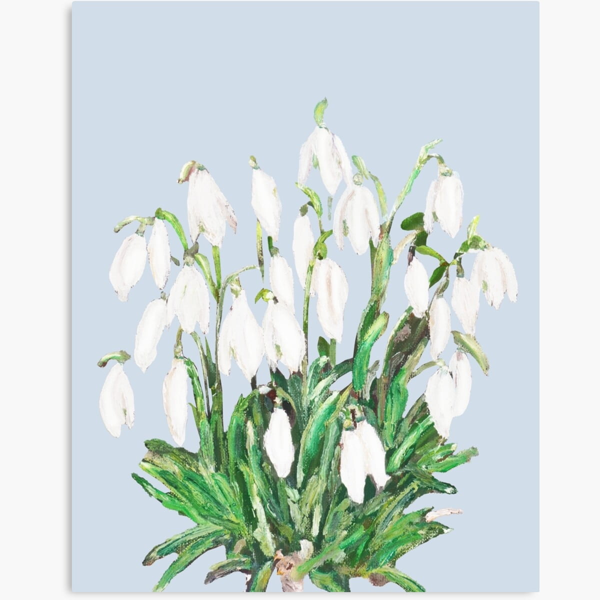 Poster White Snowdrops Isolated 2025 Poster No Framed, 24x36 - Walmart.com