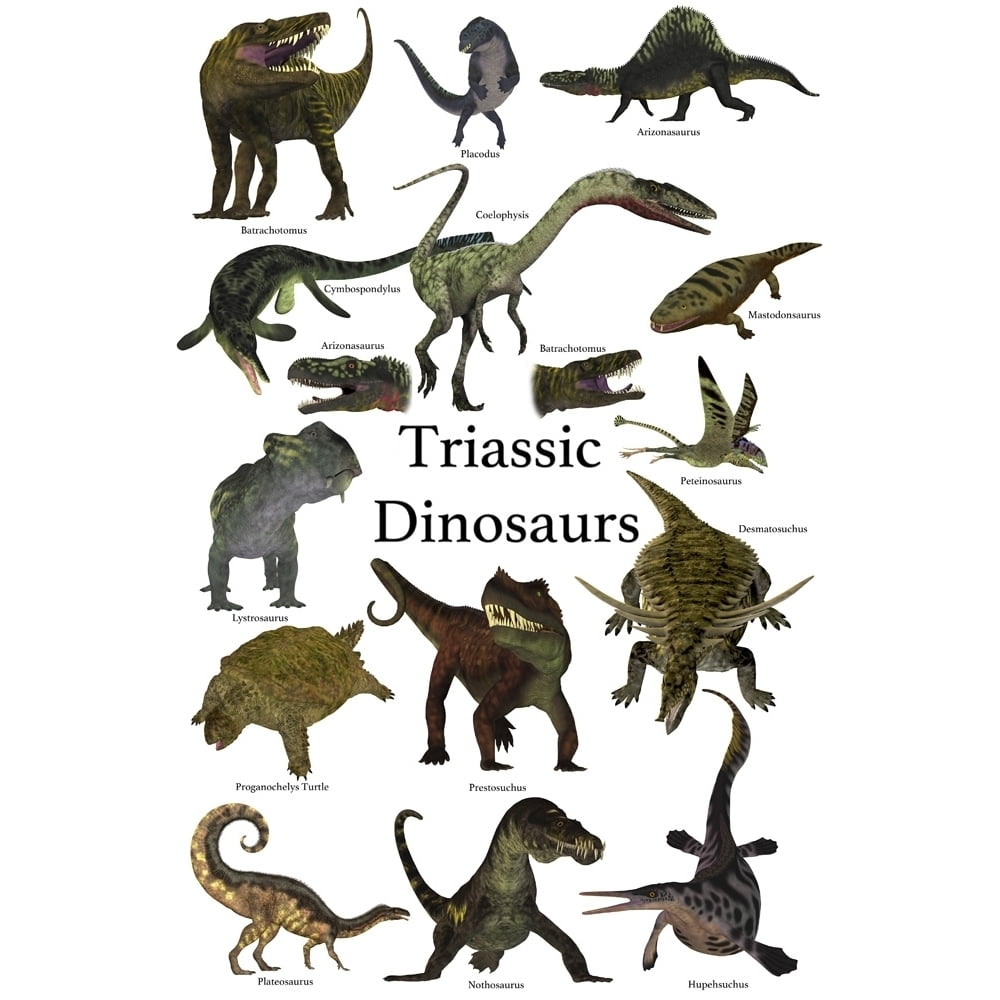 Poster of prehistoric dinosaurs and reptiles during the Triassic period ...
