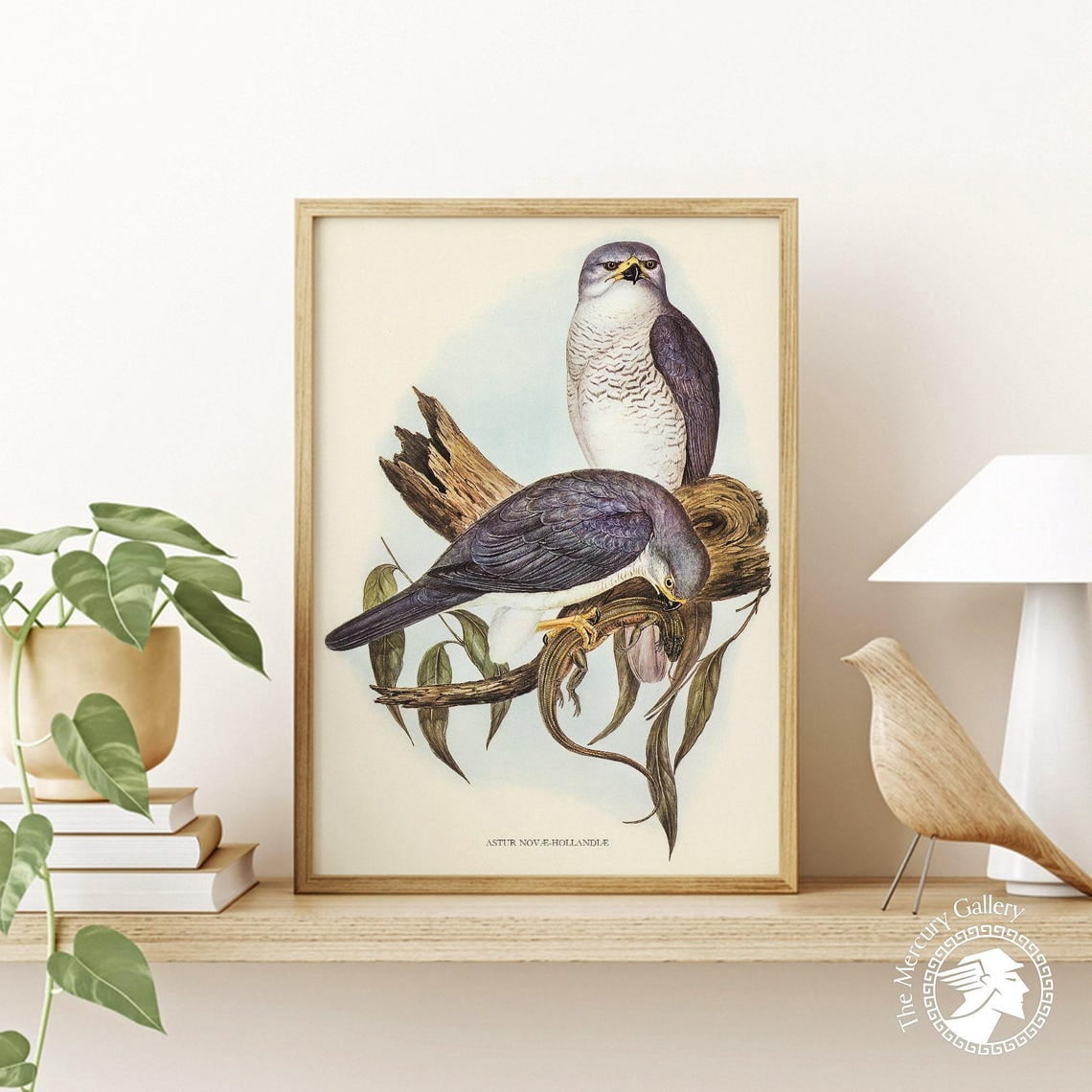 PosterArt French Country Bird Poster, Romantic Vintage Wall Art ...