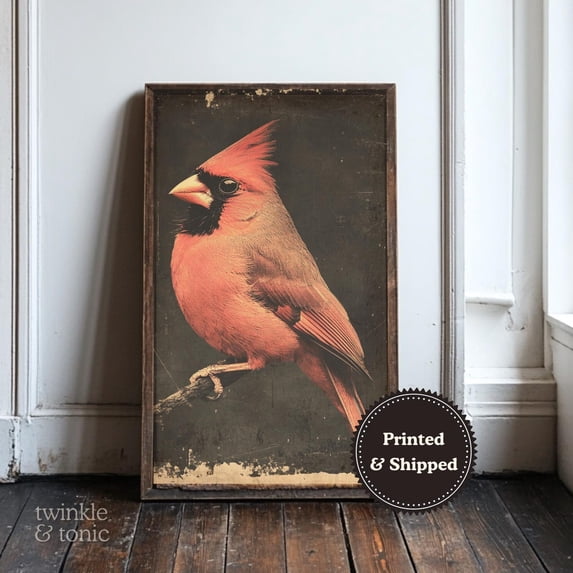 PosterArt Vintage Cardinal Art Print Dark Academia Wall Décor Moody ...