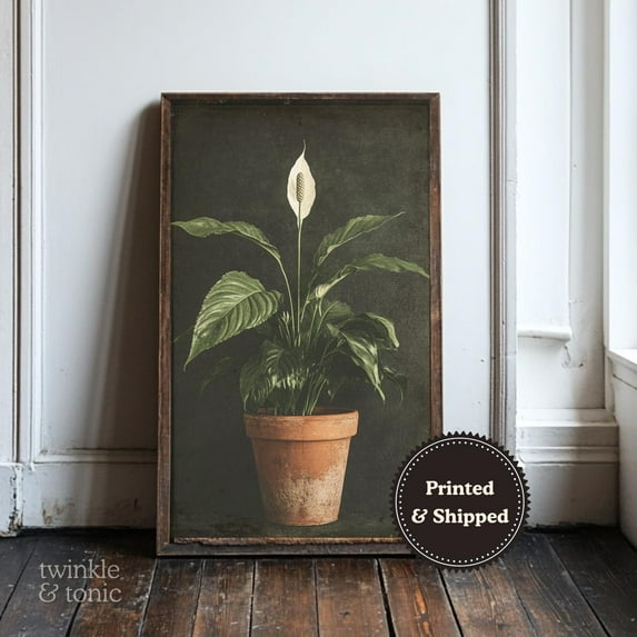 PosterArt Vintage Peace Lily Art Print Botanical Wall Décor Dark ...