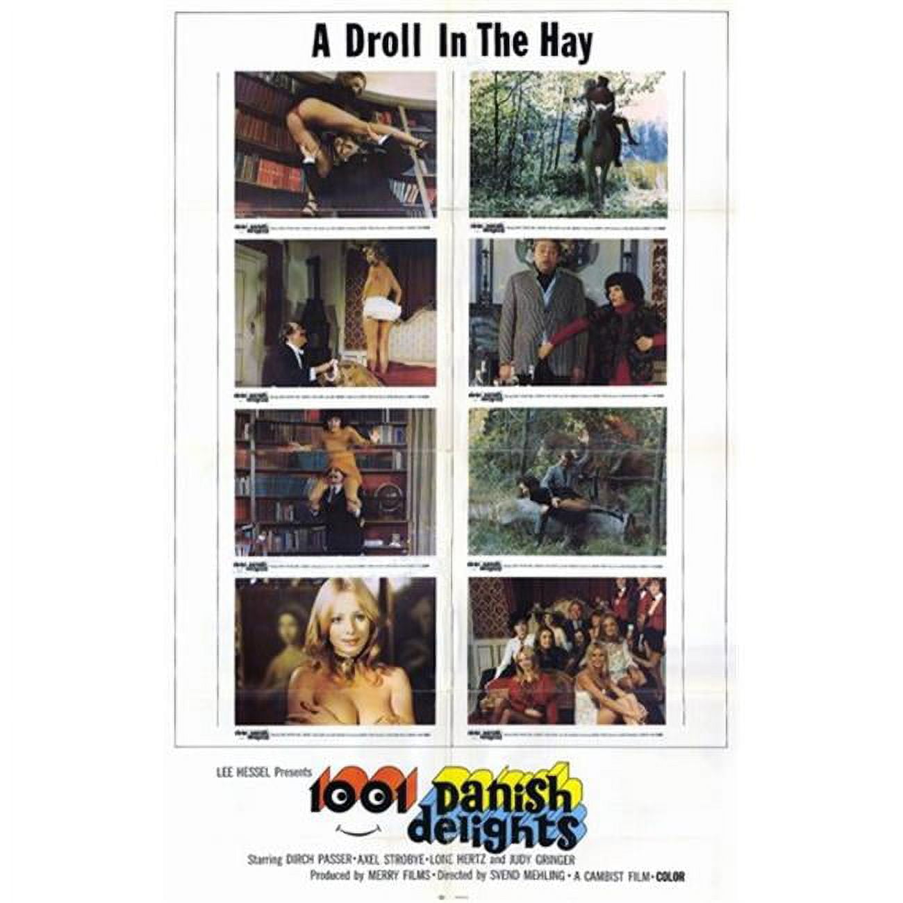 Posterazzi 1001 Danish Delights Movie Poster - 11 x 17 in. - Walmart.com