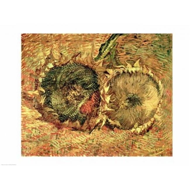 Posterazzi BALXTD68221 Two Cut Sunflowers 1887 Poster Print by Vincent ...
