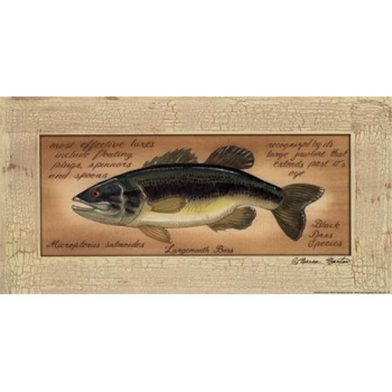 Posterazzi C01BB399 Large Mouth Bass Poster Print by Becca Barton - 16 ...