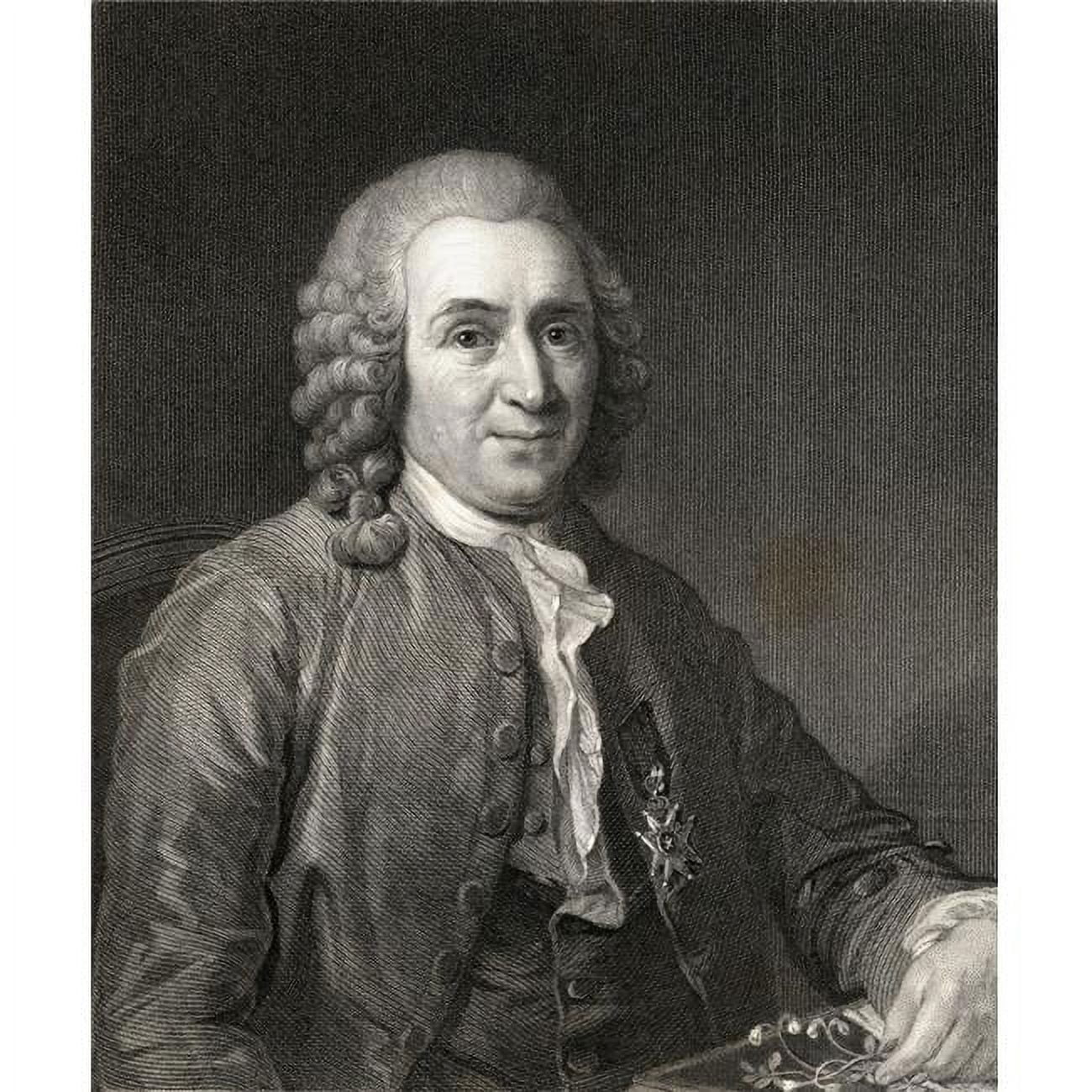 Posterazzi Carl Von Linne Aka Linnaeus 1707-1778 Swedish Botanist ...