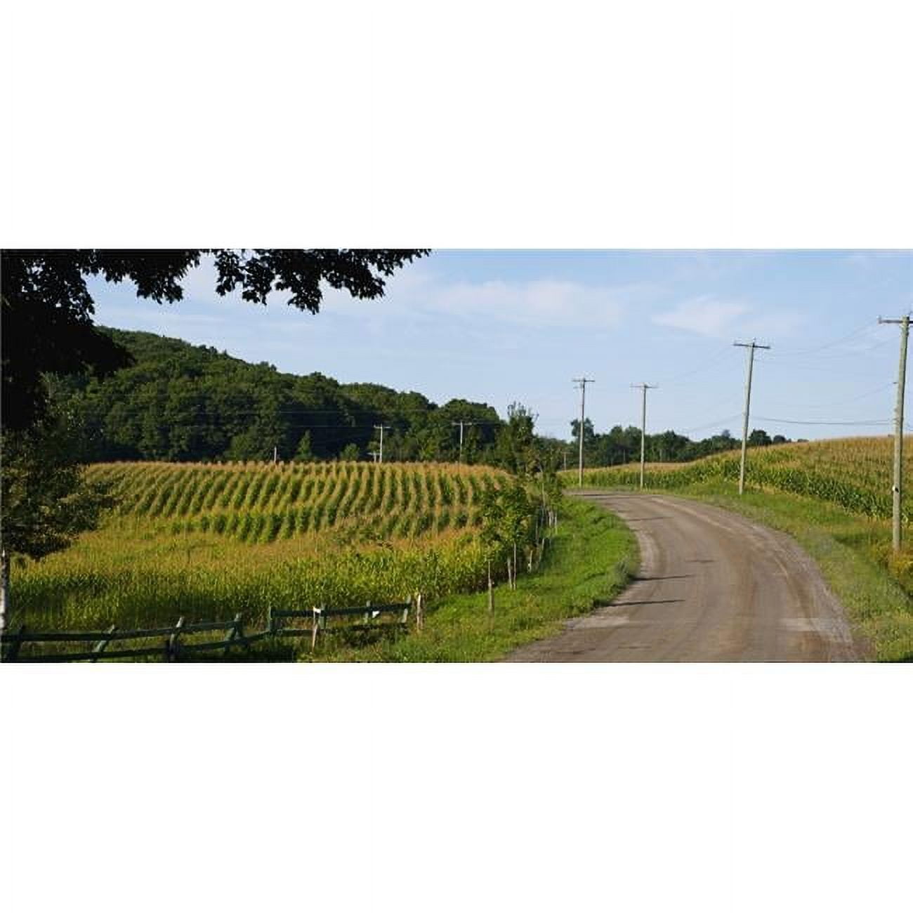Posterazzi DPI12254184 Corn Field - Dunham Quebec Canada Poster Print ...