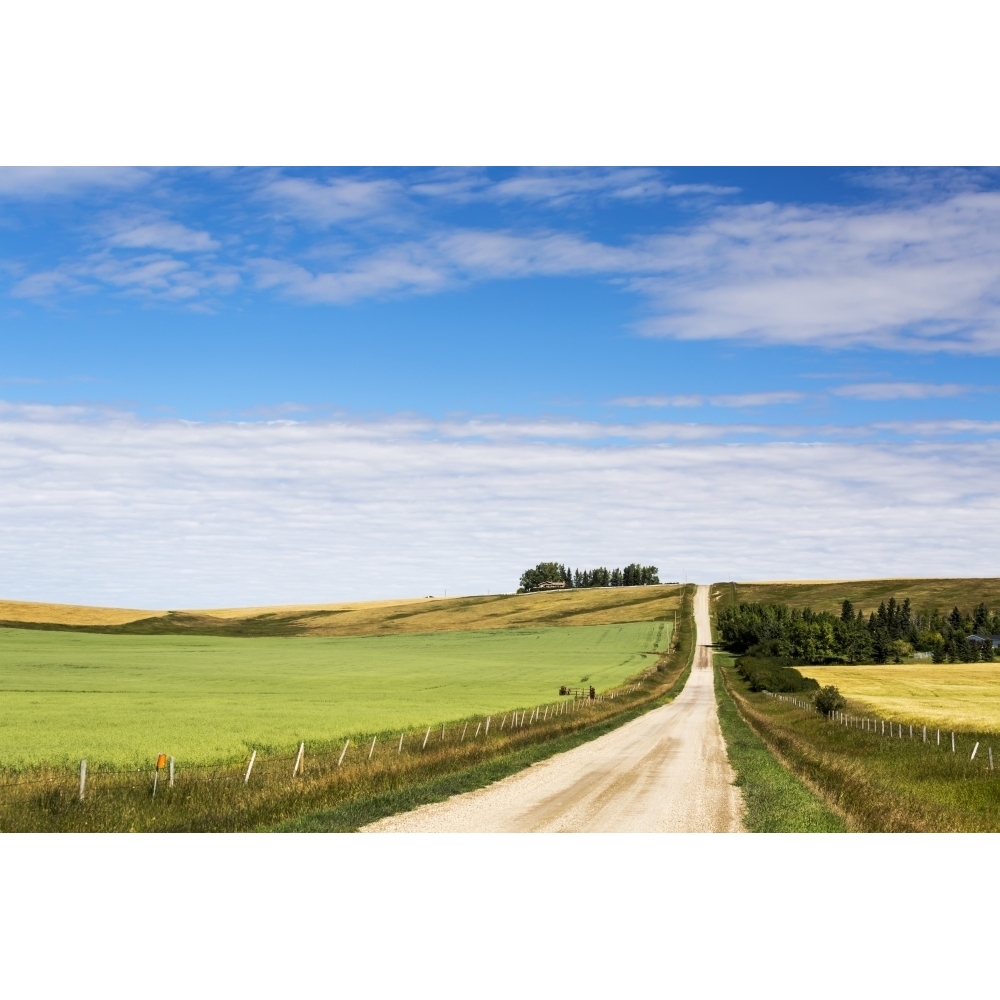 Posterazzi DPI12257413LARGE Gravel Road Climbing A Hill with A Green ...