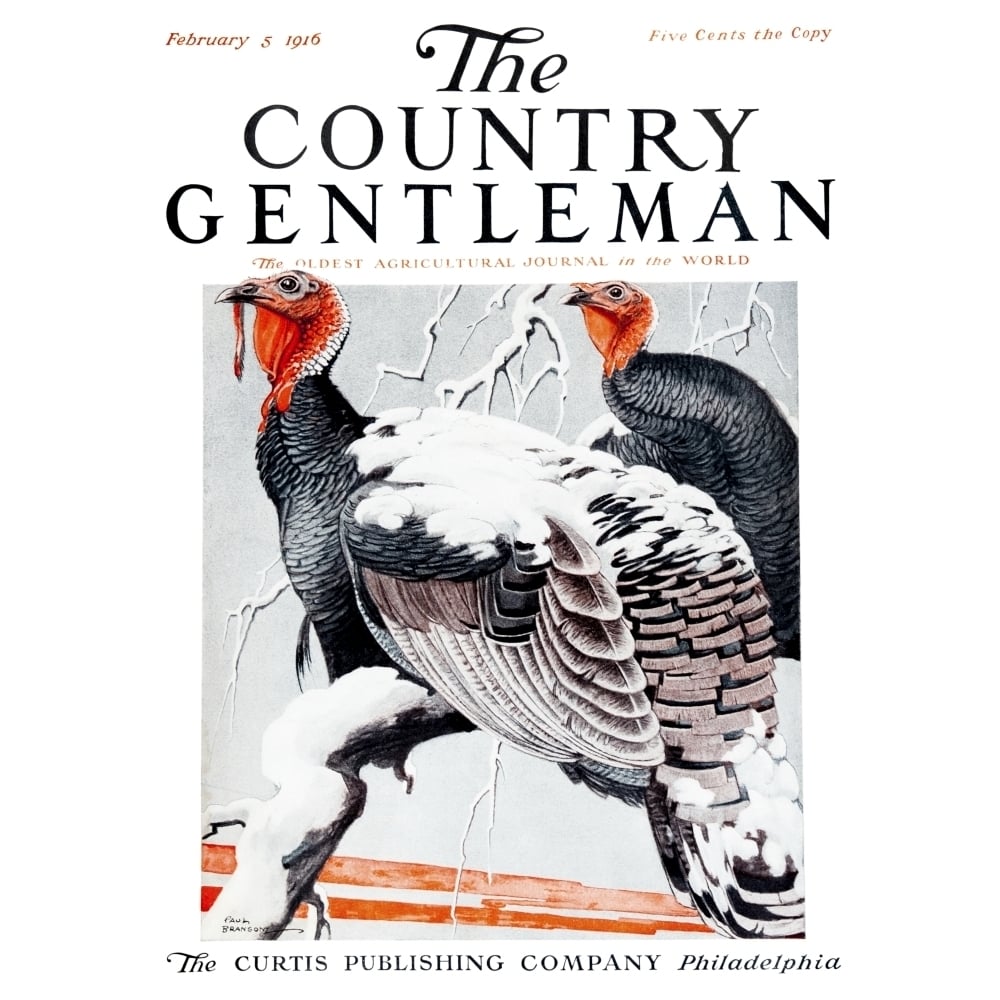 Posterazzi DPI12272300LARGE Cover of Country Gentleman Agricultural ...