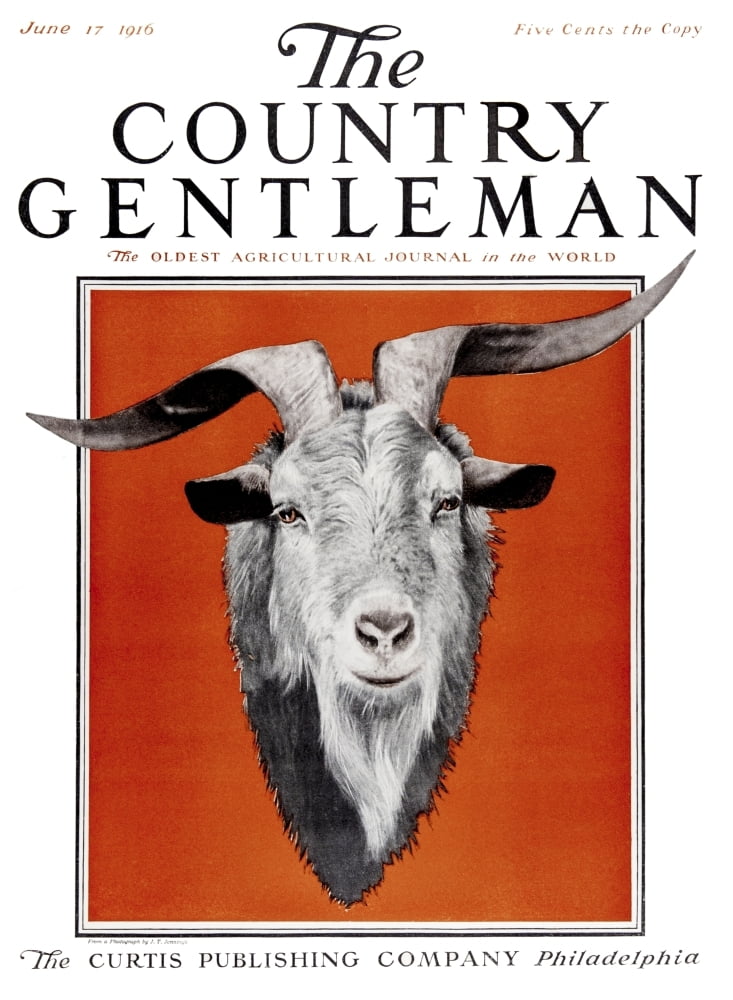 Posterazzi DPI12272377 Cover of Country Gentleman Agricultural Magazine From The Early 20th ...