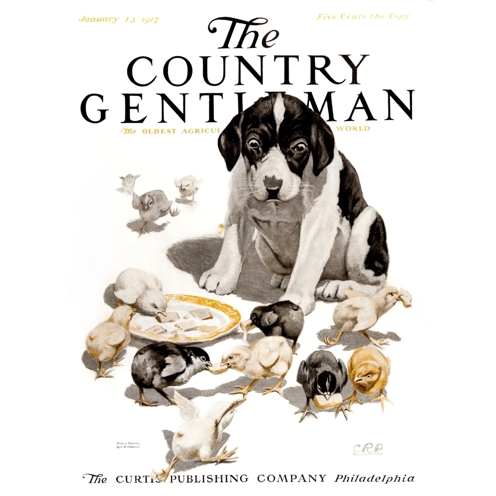 Posterazzi DPI12272436LARGE Cover of Country Gentleman Agricultural ...
