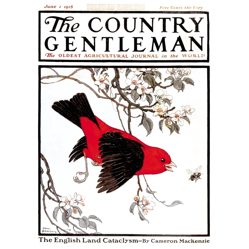 Posterazzi DPI12272467LARGE Cover of Country Gentleman Agricultural ...