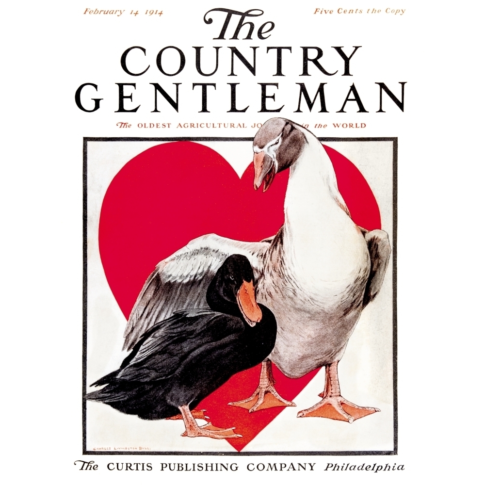 Posterazzi DPI12272531 Cover of Country Gentleman Agricultural Magazine ...
