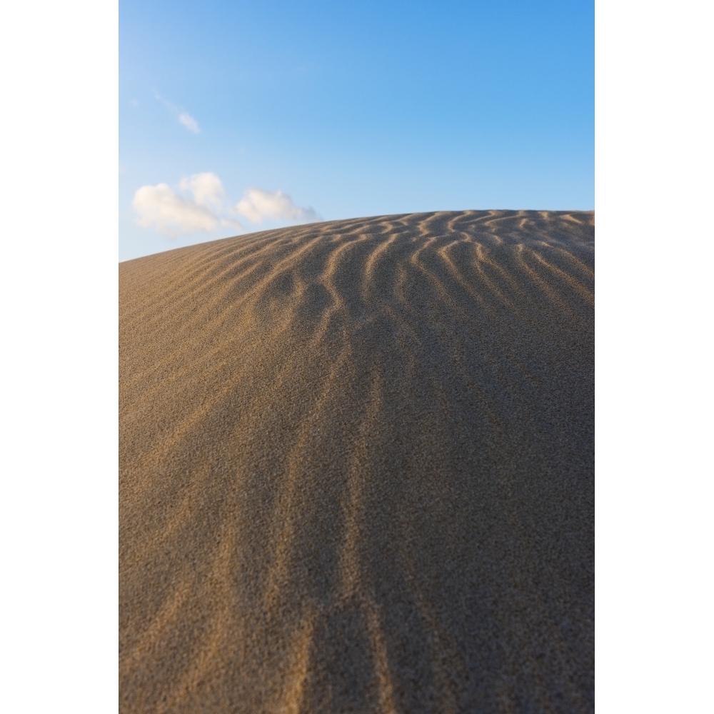 Posterazzi DPI12284904LARGE Punta Paloma Sand Dunes - Tarifa Costa De ...