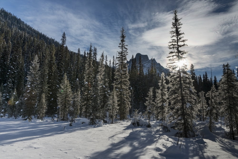 Posterazzi DPI12285061 Snow On The Rugged Canadian Rocky Mountains ...