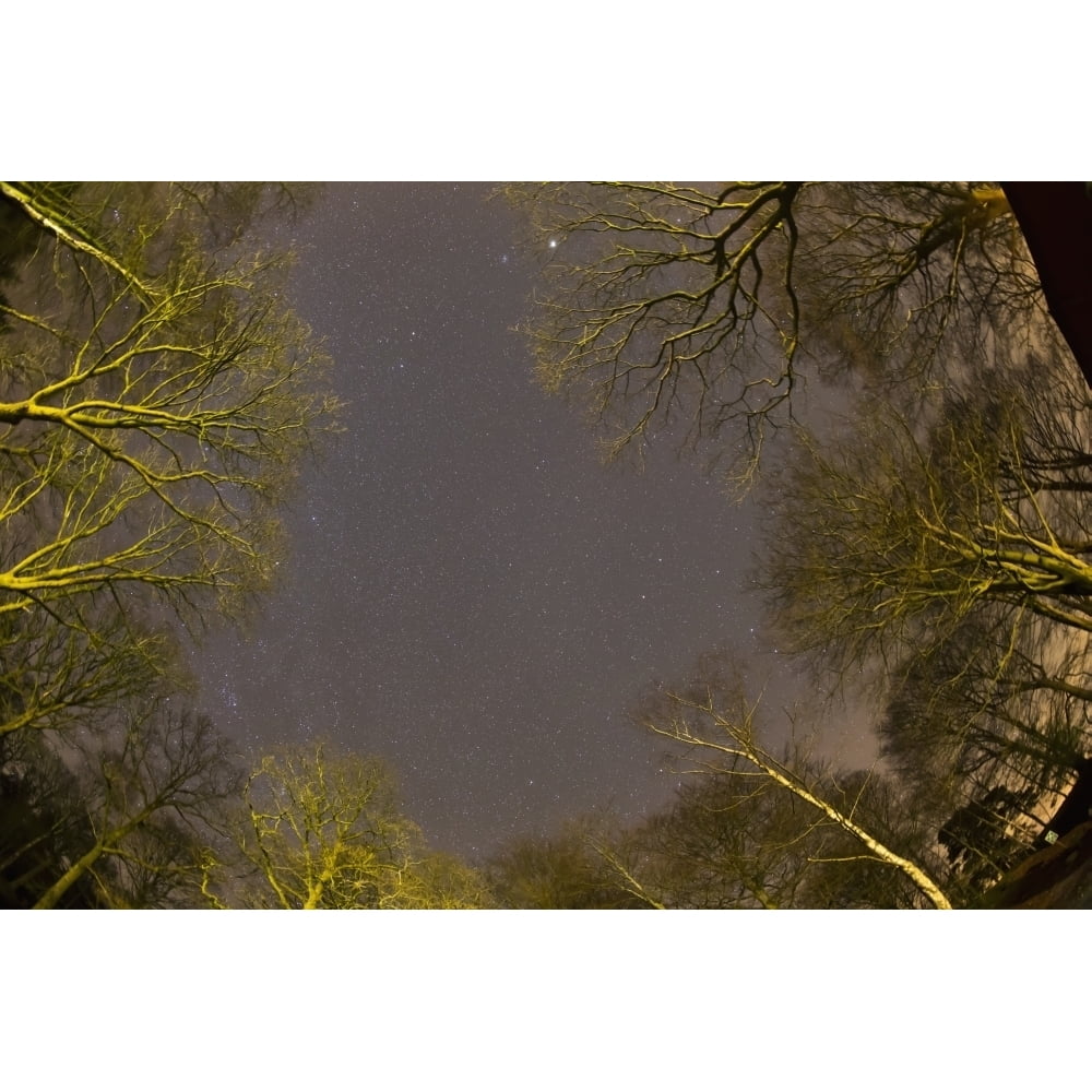 Posterazzi DPI12290117LARGE View of Stars in The Sky with Illuminated ...