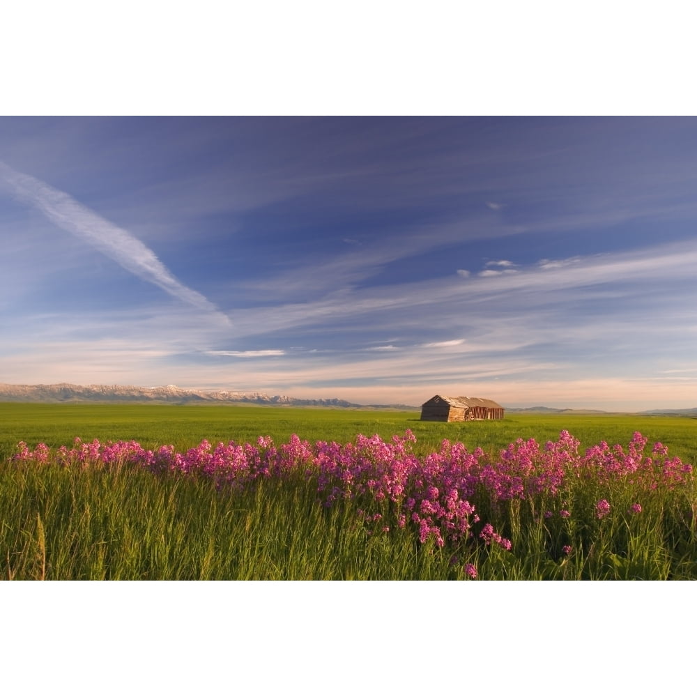 Posterazzi DPI1776635 Rural Landscape Alberta Canada Poster Print by ...