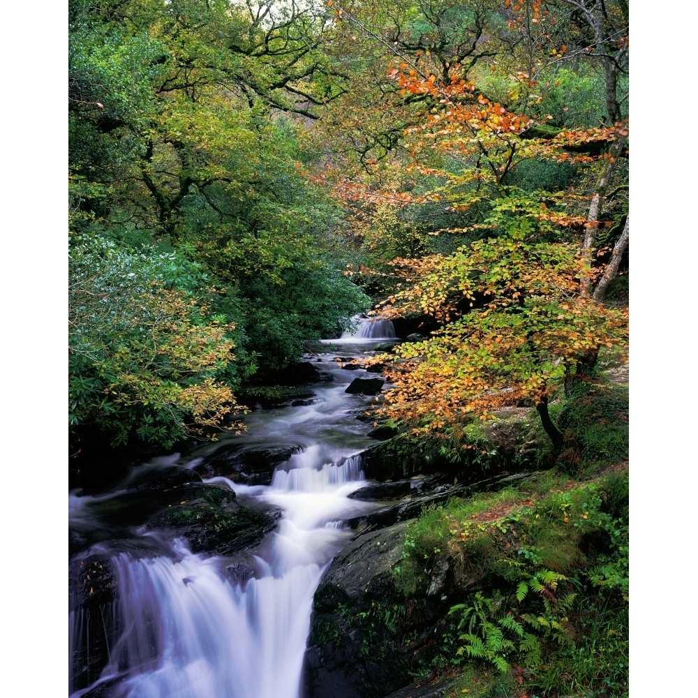 Posterazzi DPI1801794LARGE Killarney National Park Ring of Kerry Co ...