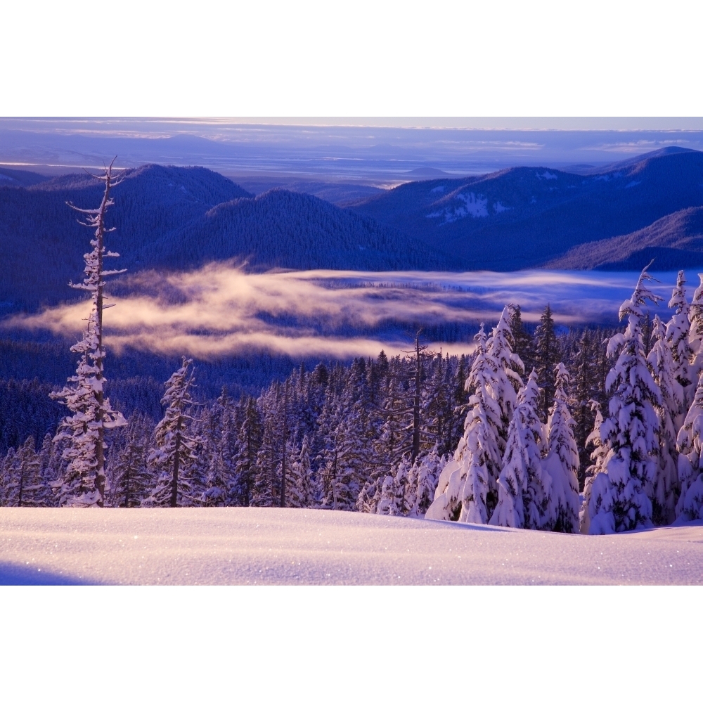 Posterazzi DPI1830891 Winter Snow Cascade Range Oregon USA Poster Print ...