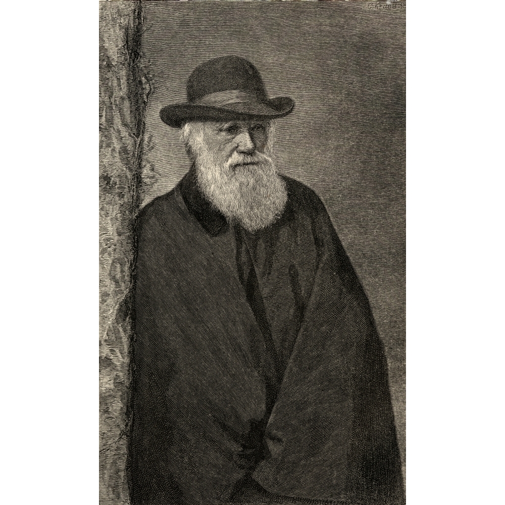 Posterazzi DPI1857273LARGE Charles Darwin 1809 1882 British Naturalist ...