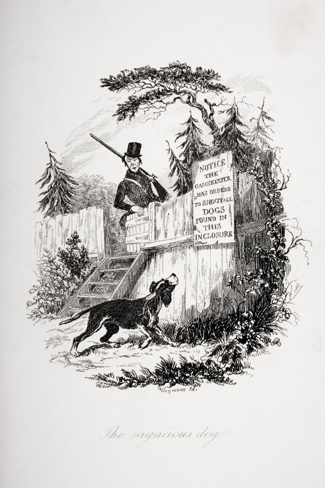 Posterazzi DPI1860246 The Sagacious Dog Illustration From the Charles ...