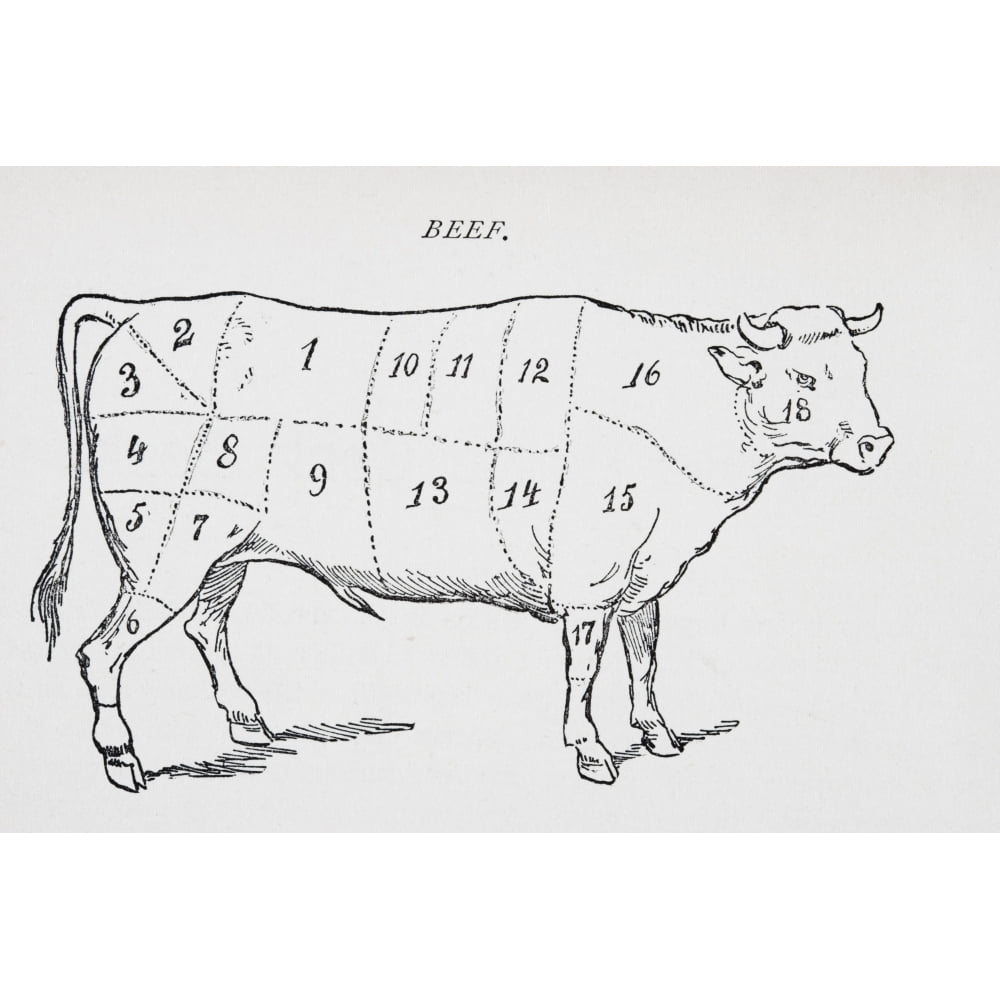 Posterazzi DPI1860792 Drawing of Bullock Marked to Show 18 Different ...