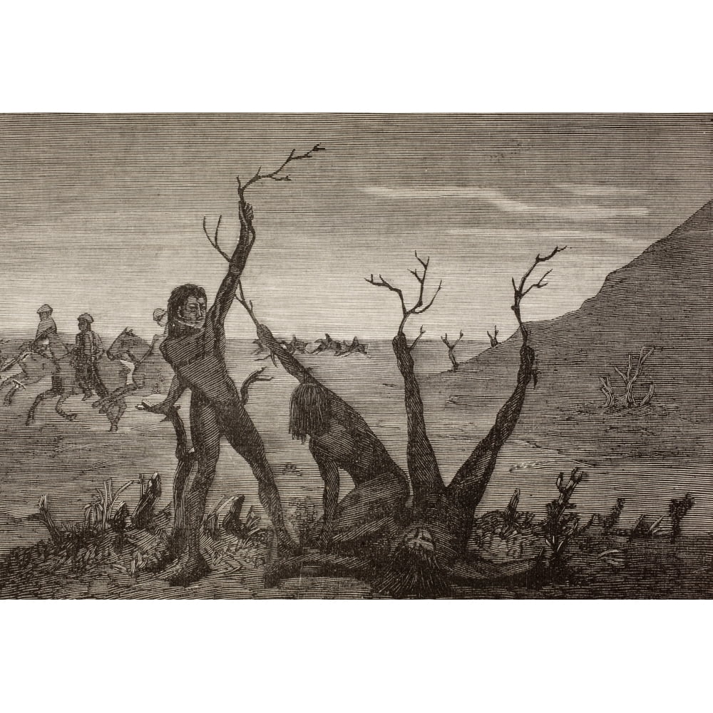 Posterazzi DPI1863079LARGE The Tree Men of India In the 19th Century ...