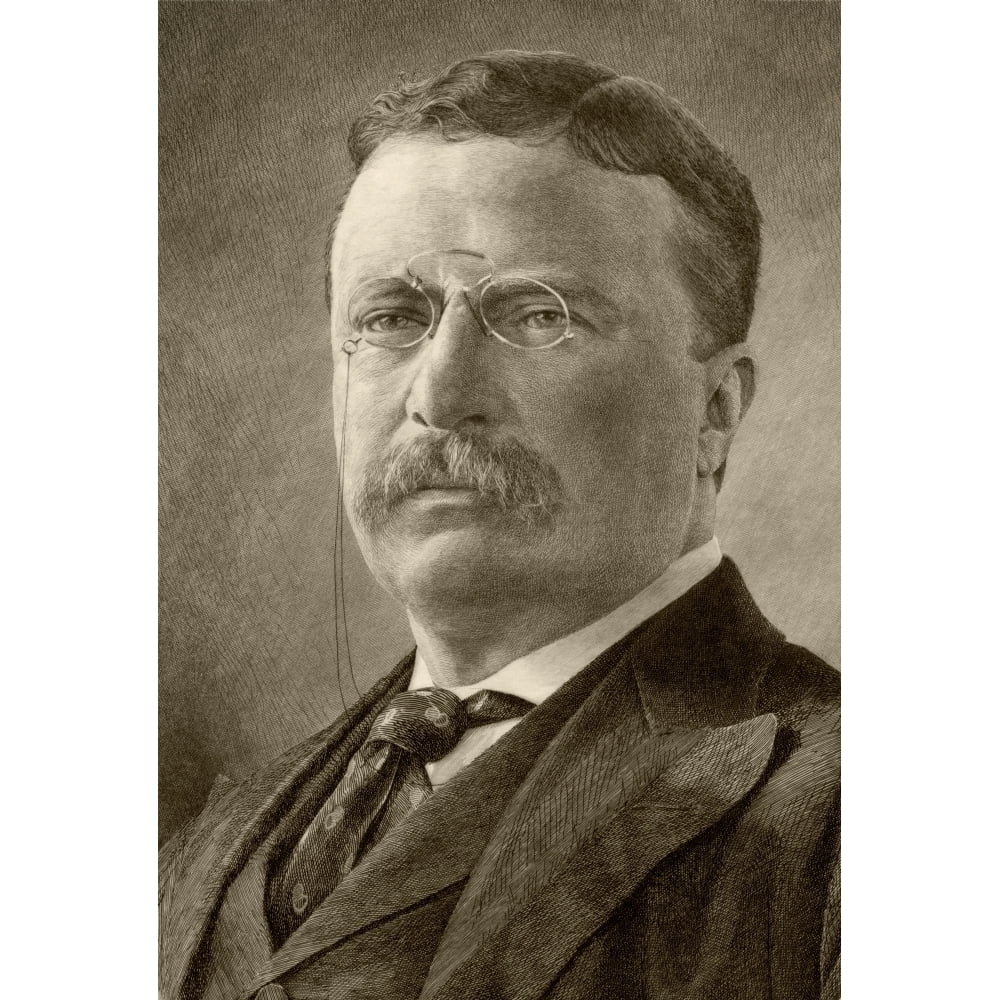 Posterazzi DPI1872570LARGE Theodore D. Roosevelt, 1858 to 1919 26th ...