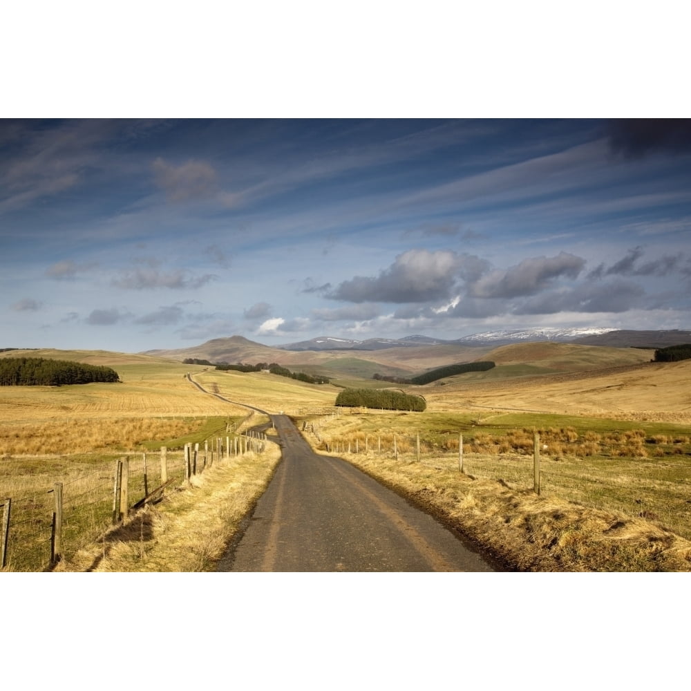 Posterazzi DPI1875233LARGE Scottish Borders, Scotland - A Road with ...