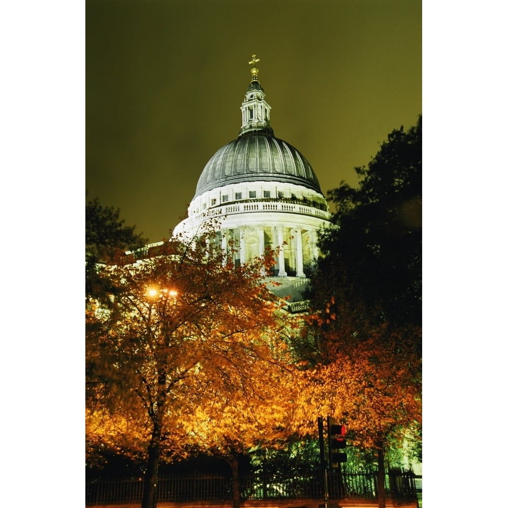 Posterazzi DPI1885309 St Pauls Cathedral At Night with Trees Poster ...