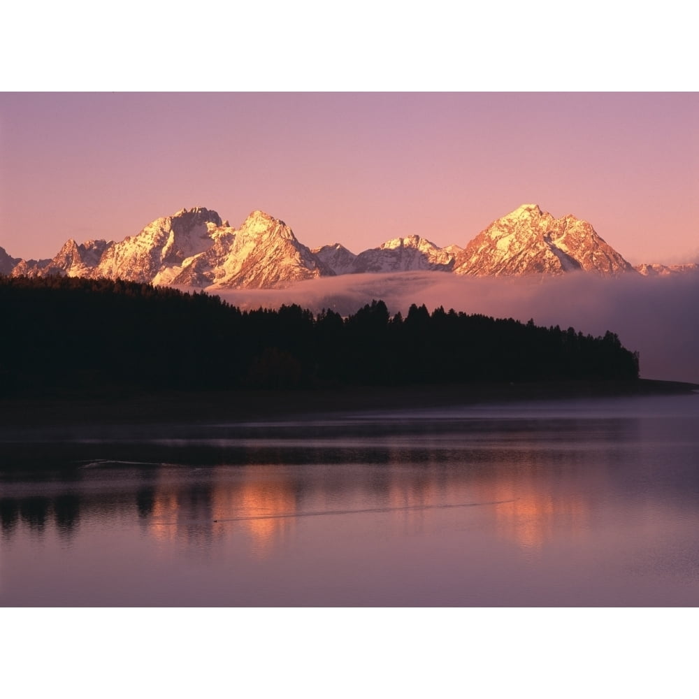 Posterazzi Grand Teton Mountains with Silhouetted Aspen Trees At ...