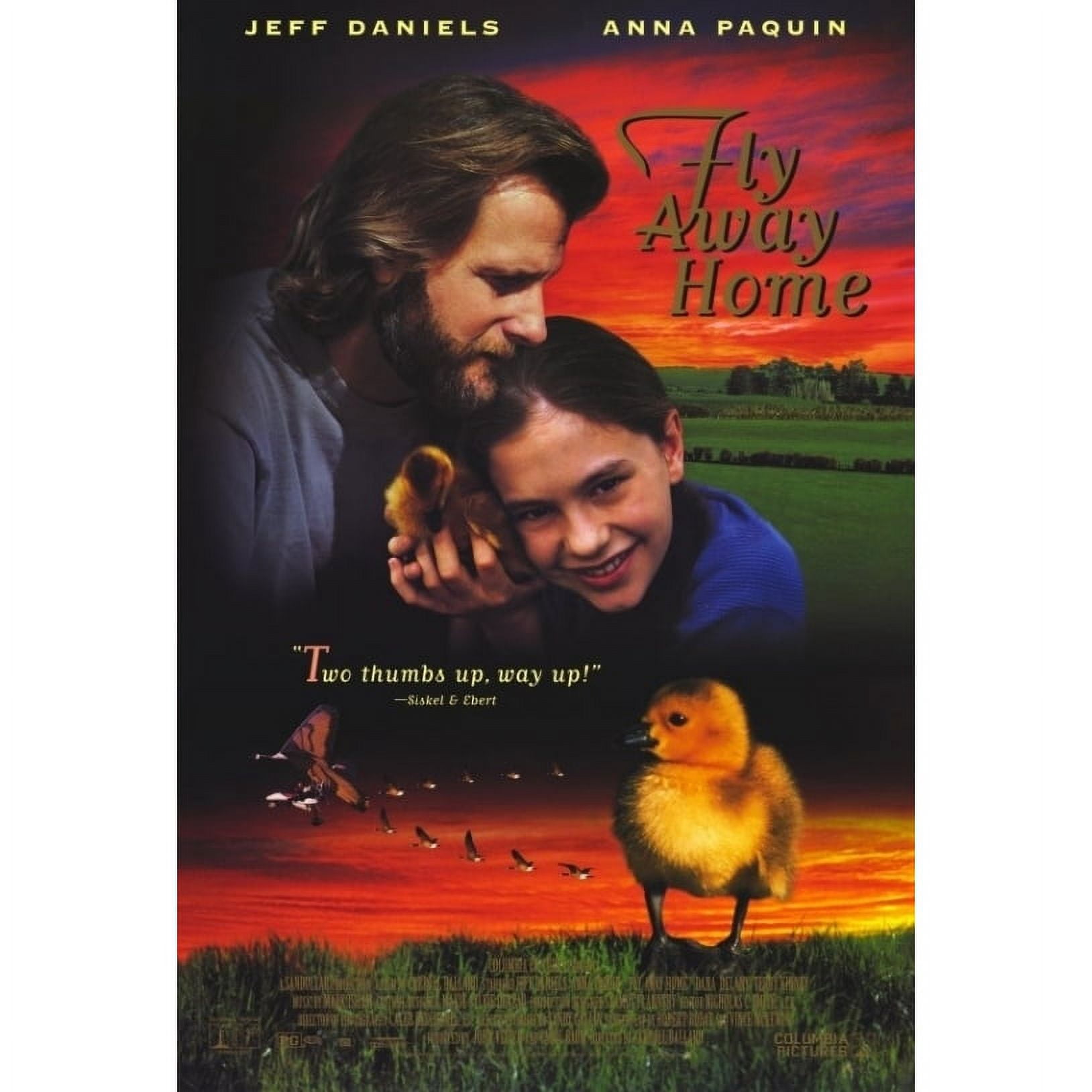 Posterazzi MOVAF3372 Fly Away Home Movie Poster - 27 x 40 in. - Walmart.com