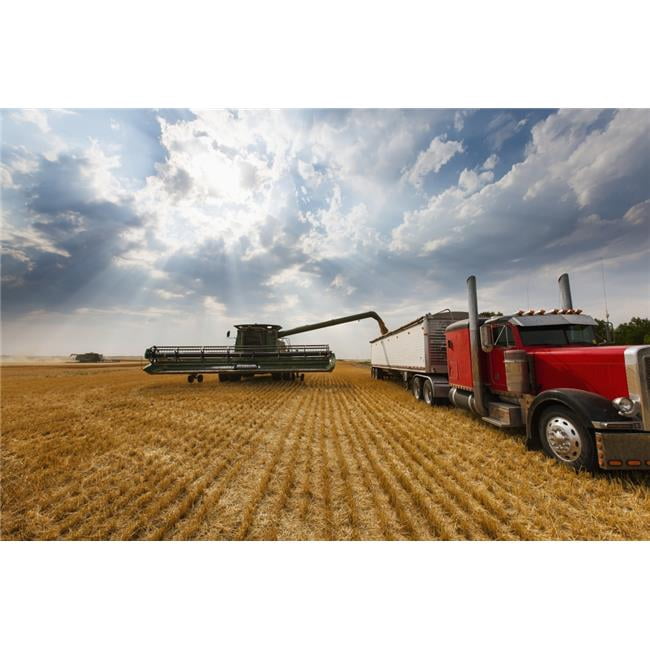 Posterazzi Paplow Harvesting Company Custom Combines A Wheat Field Near ...