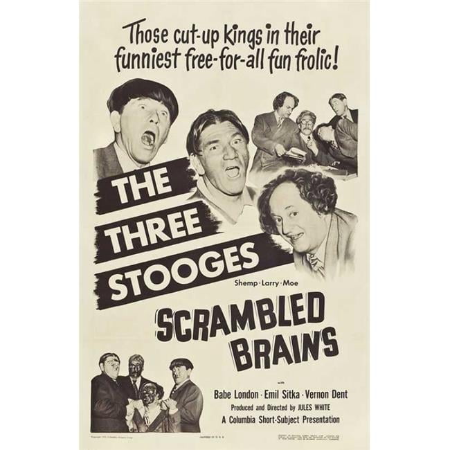 Posterazzi Scrambled Brains Movie Poster - 27 x 40 in. - Walmart.com
