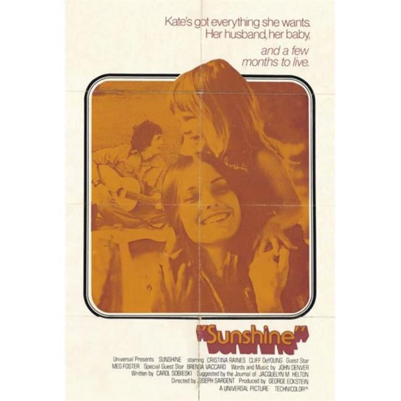 Posterazzi Sunshine Movie Poster - 11 x 17 in. - Walmart.com