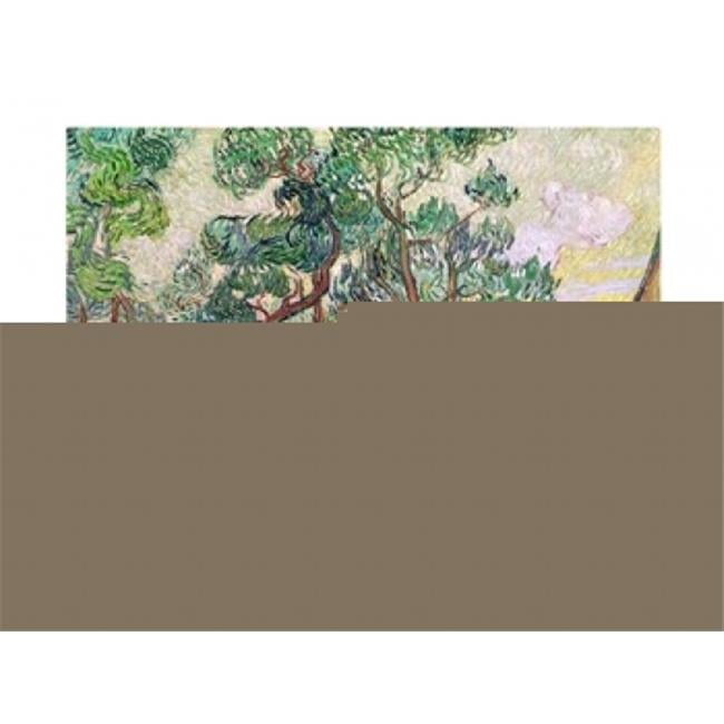 Posterazzi The Garden of St. Pauls Hospital at St. Remy 1889 Poster ...