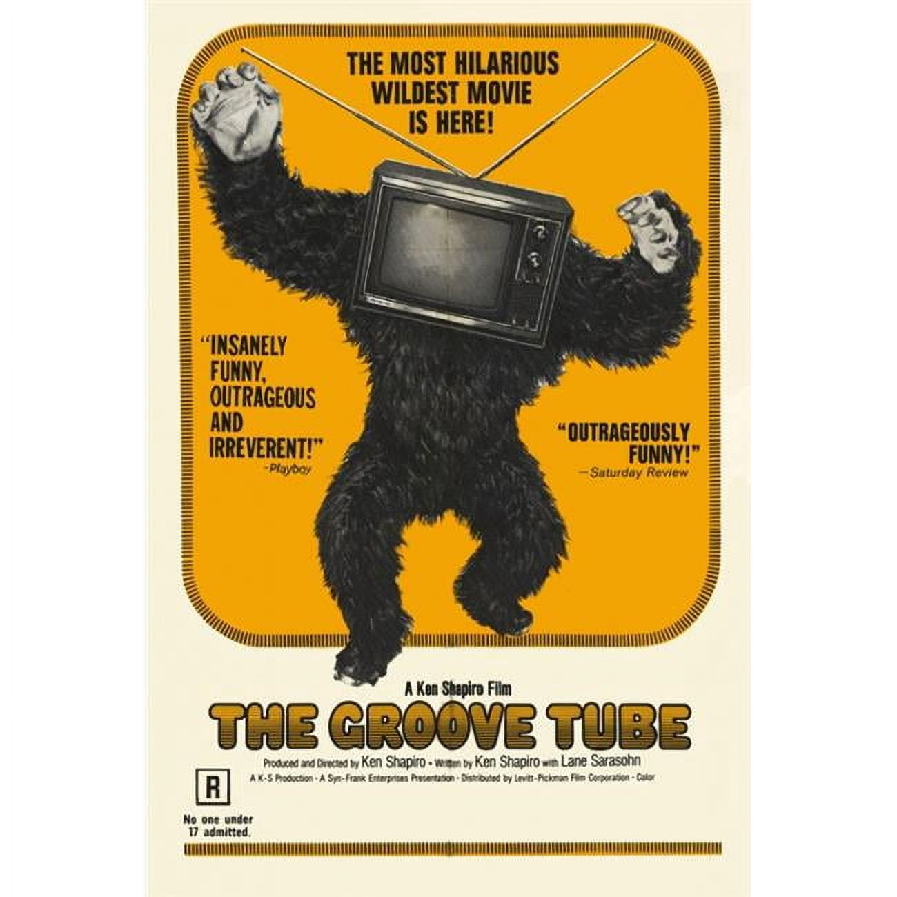 Posterazzi The Groove Tube Movie Poster - 27 x 40 in. - Walmart ...