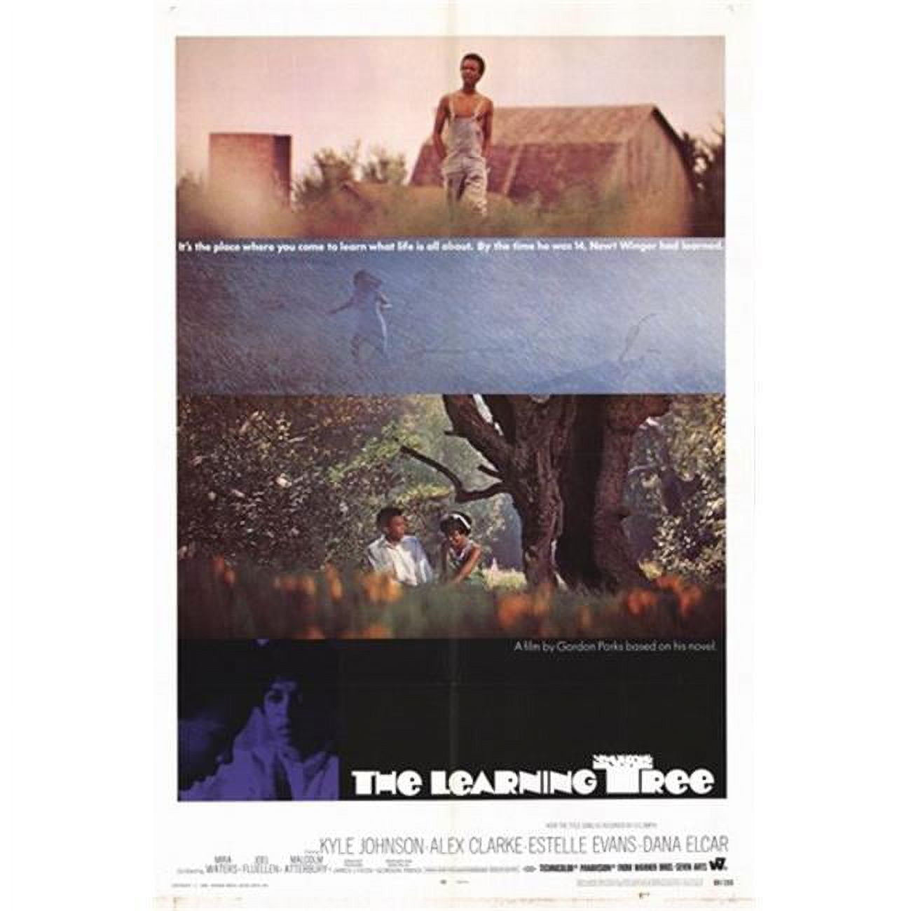 Posterazzi The Learning Tree Movie Poster - 11 x 17 in. - Walmart.com