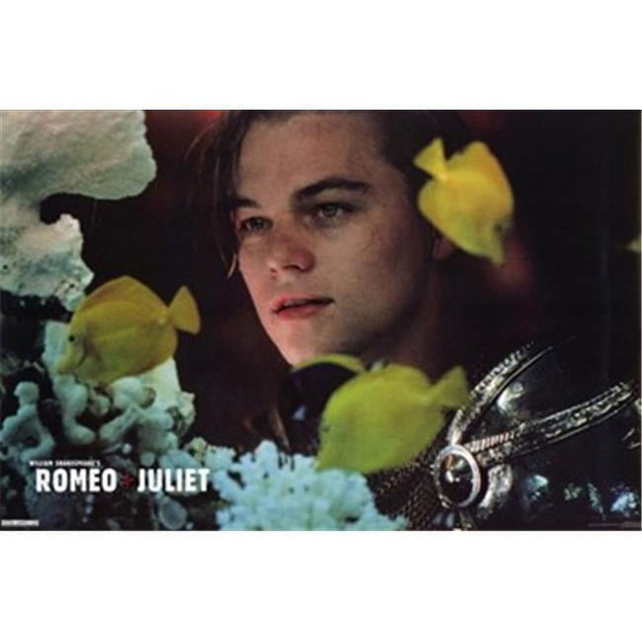 Posterazzi William Shakespeare's Romeo & Juliet Movie Poster - 17 x 11 ...
