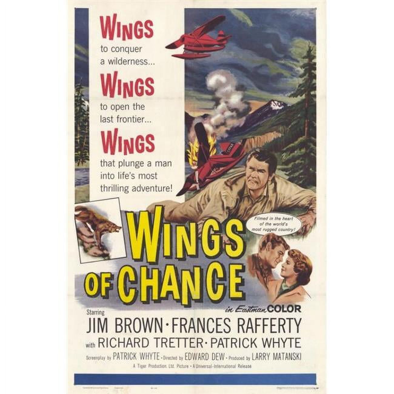 Posterazzi Wings of Chance Movie Poster - 27 x 40 in. - Walmart.com