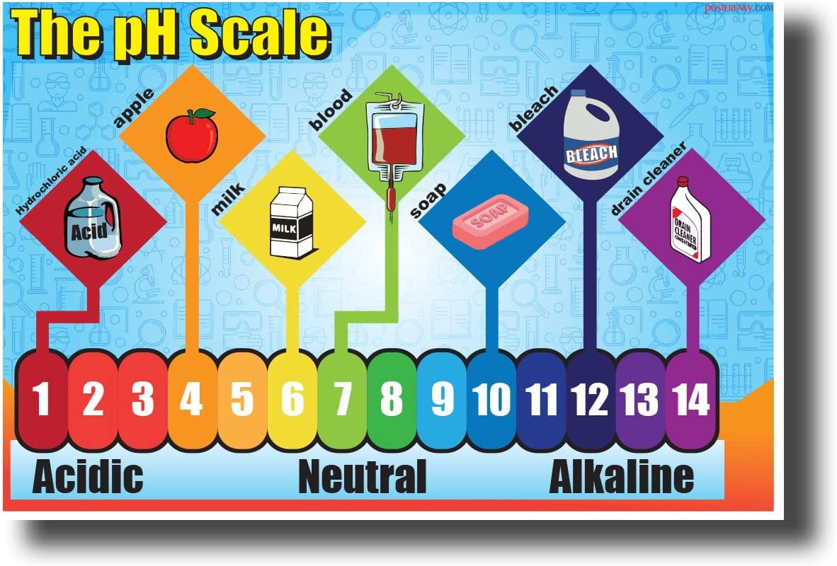 Posterenvy The pH Scale - New Classroom Science Poster 12” x 18 ...