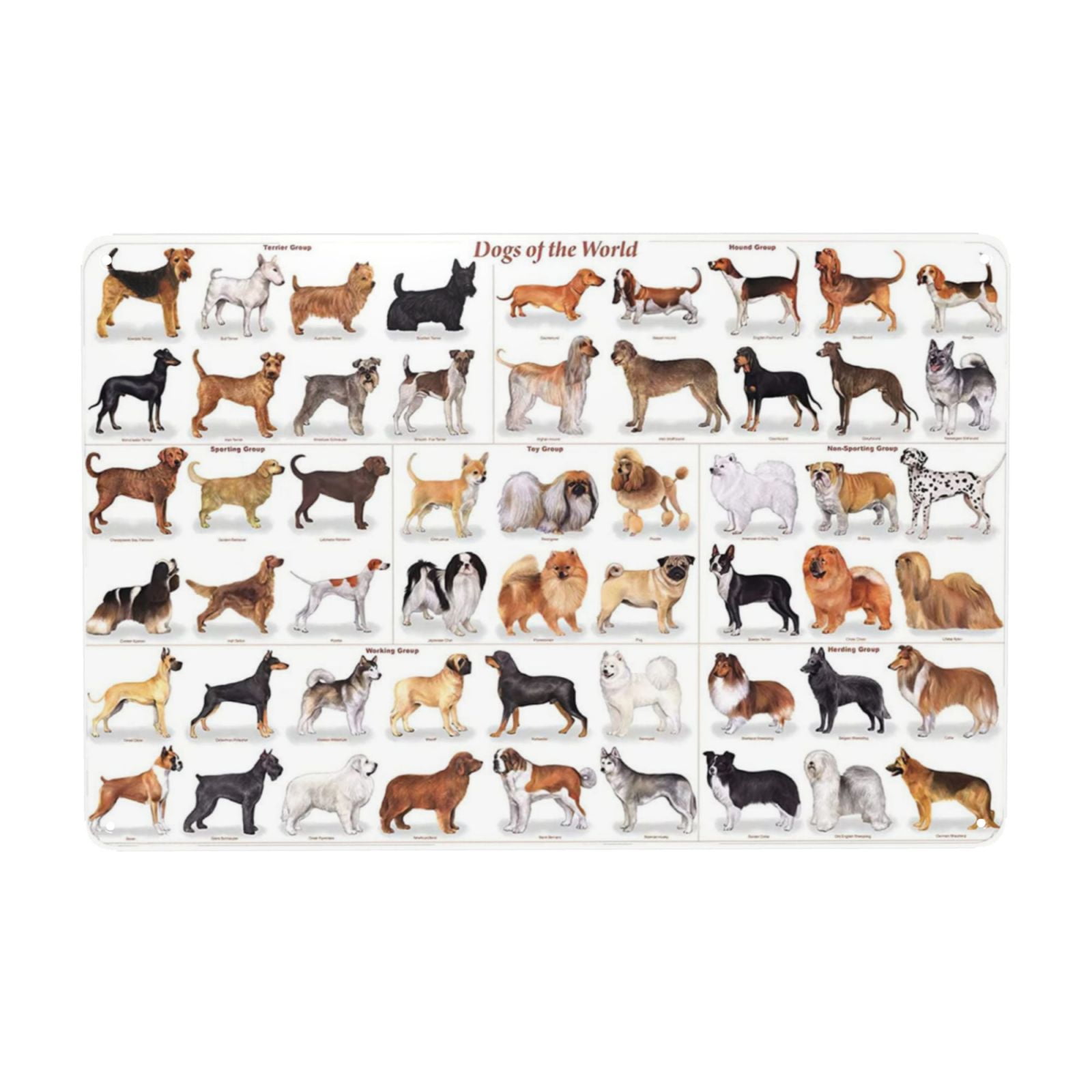 Posters Dogs Of The World Popular Breeds Chart Funny Retro Tin Sign ...