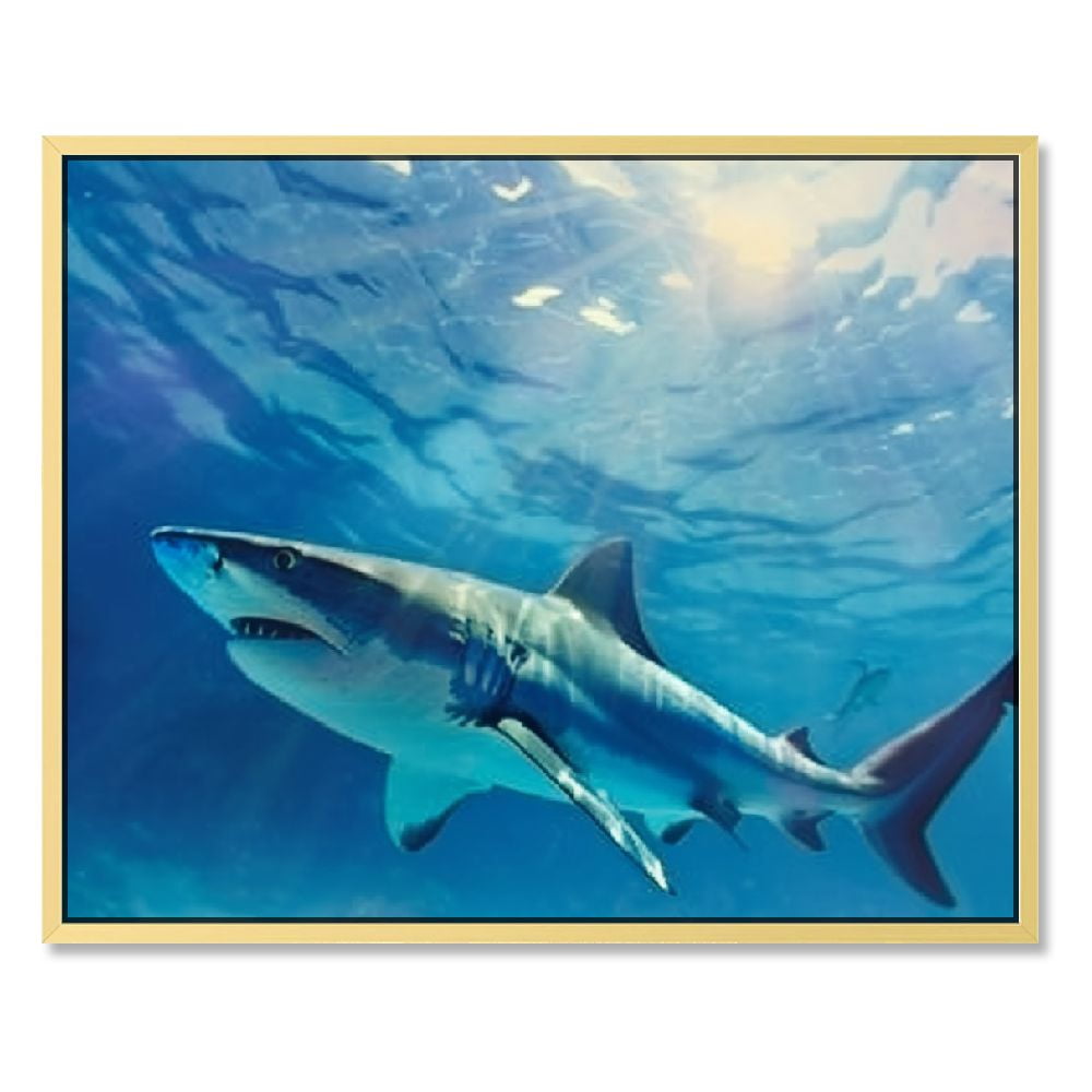 Posters Shark Poster Marine Life Poster Marine Fish Picture Blue Beach ...