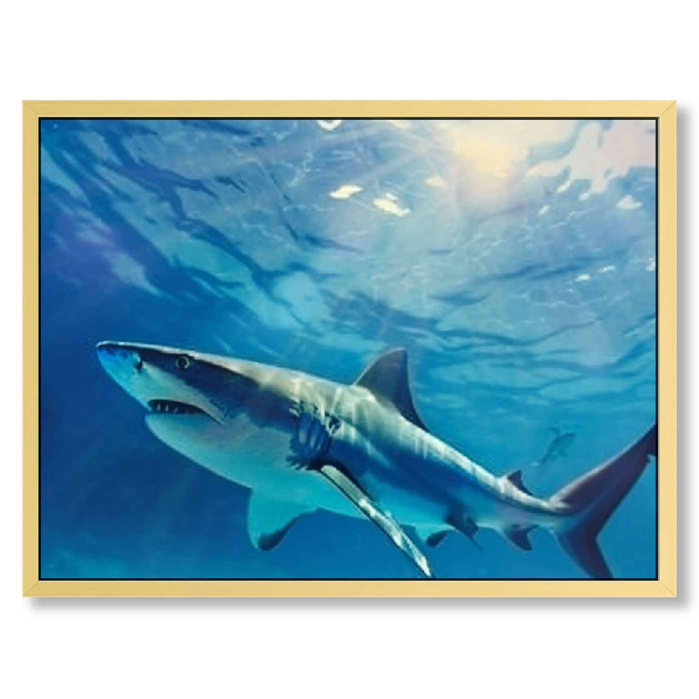 Posters Shark Poster Marine Life Poster Marine Fish Picture Blue Beach ...