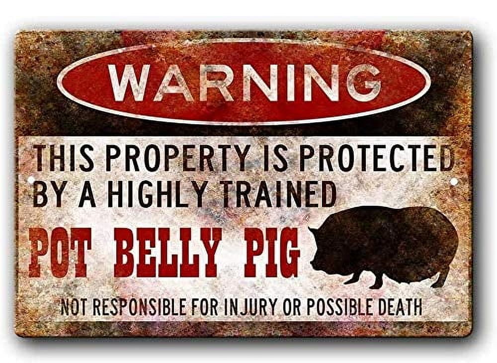 Pot Belly Pig Sign,Funny Metal Signs,Pot Bellied Pig,Pot Belly Pig,Pig ...