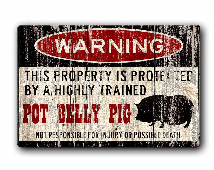 Pot Belly Pig Sign,Funny Metal Signs,Pot Bellied Pig,Pot Belly Pig,Pig ...
