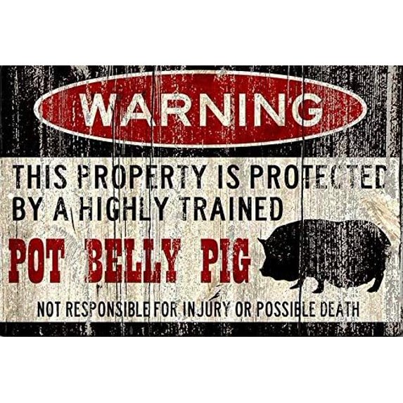 Pot Belly Pig Warning Signprotected By Metal Sign Poster Metal Sign ...