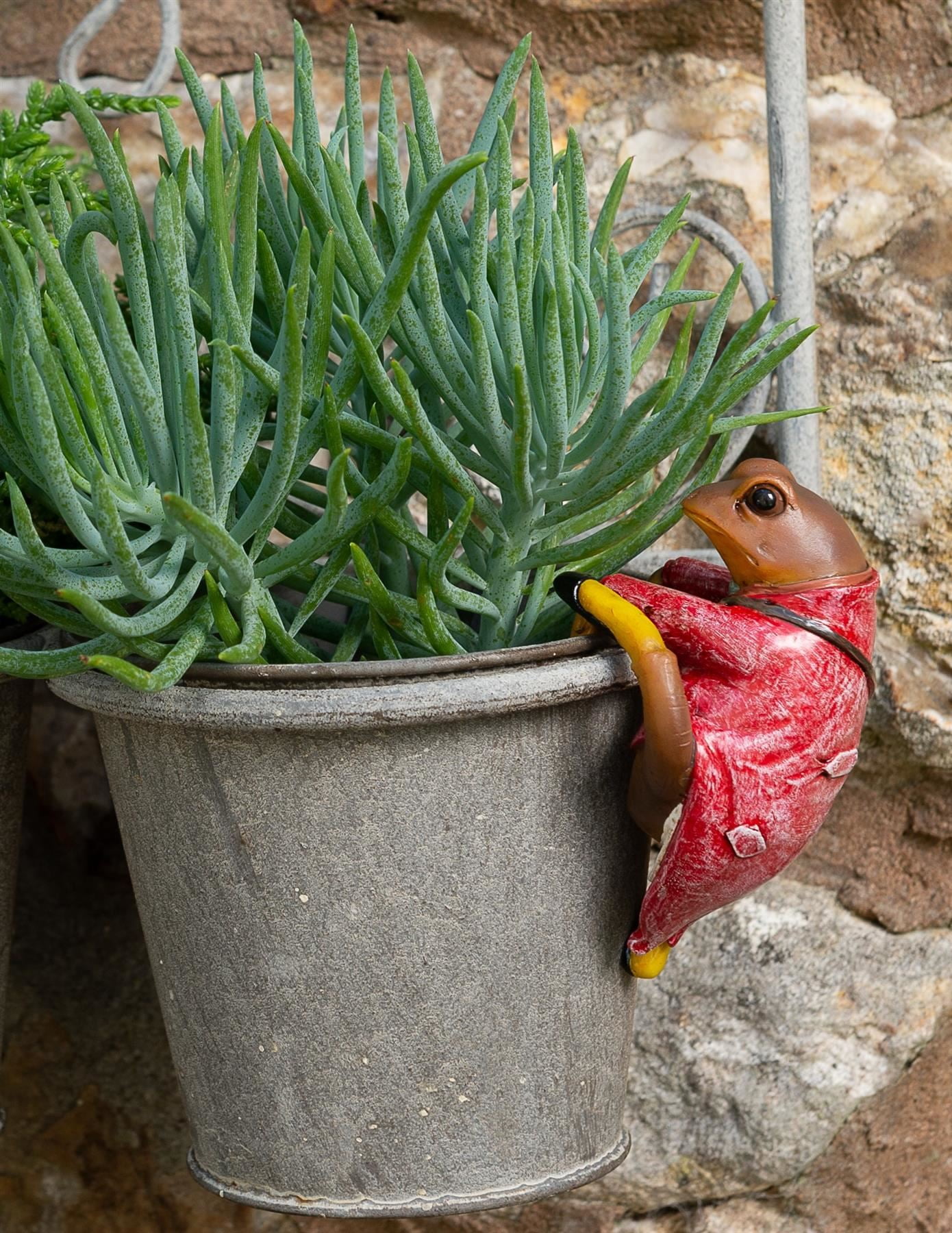 Pot Buddies Beatrix Potter Mr. Jeremy Fisher Colorful Pot Hanger ...