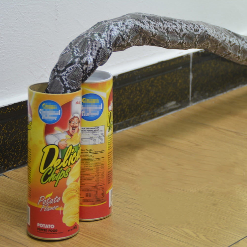 Potato Chip Snake In A Can Gag Gift Prank Large Size for April Fools ...