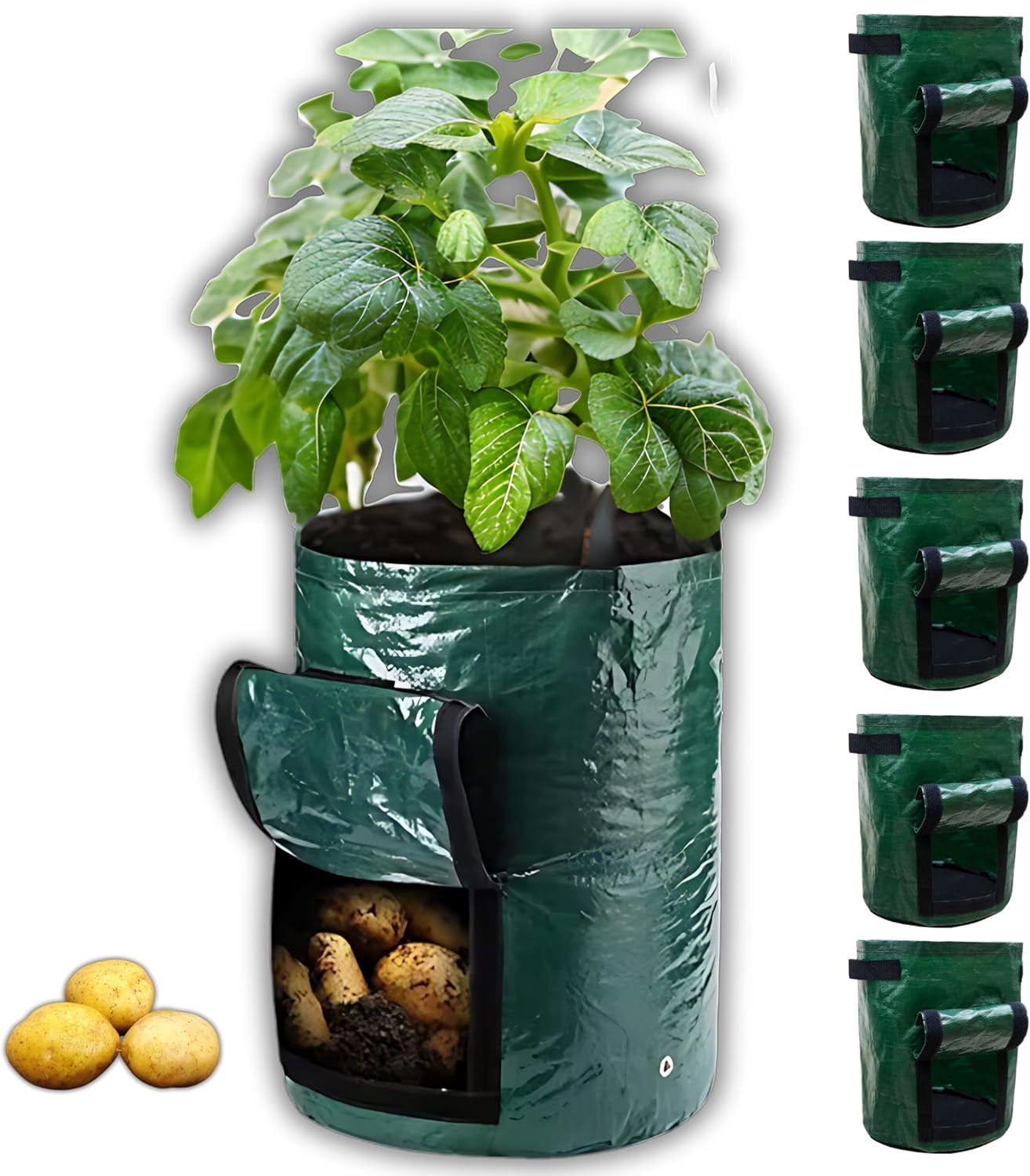 Potato Grow Bags 10 Gallon 5 Pack Grow Bags Potato Bags for Growing ...