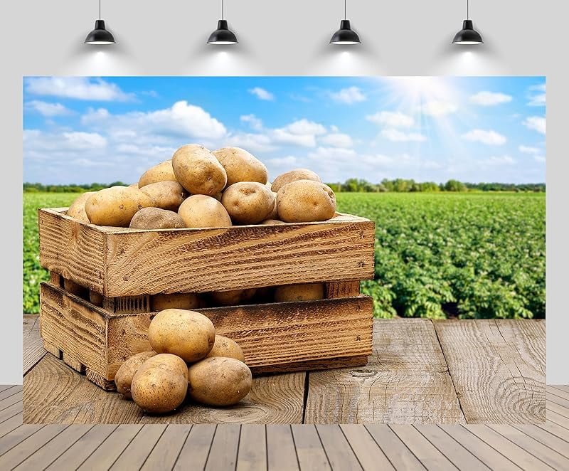 Potatoes Backdrop Wooden Box Full of Potatoes on Table with Green Field ...